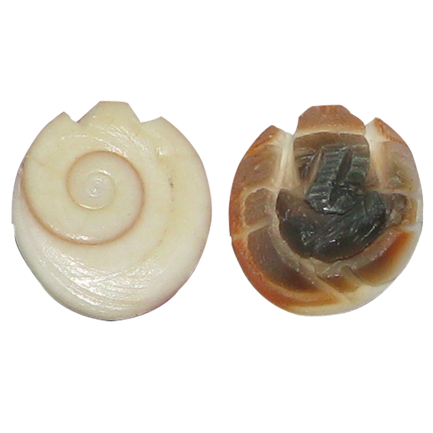 S921458-SP – Aadhyathmik Pamban Swamigal Aruliya Radhabandam Yantram ...