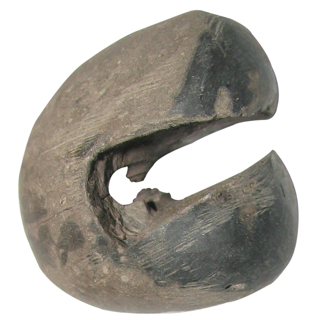 Lakshmi Narasimha Shaligram Shila Saligram Sila Salagram Stone ...