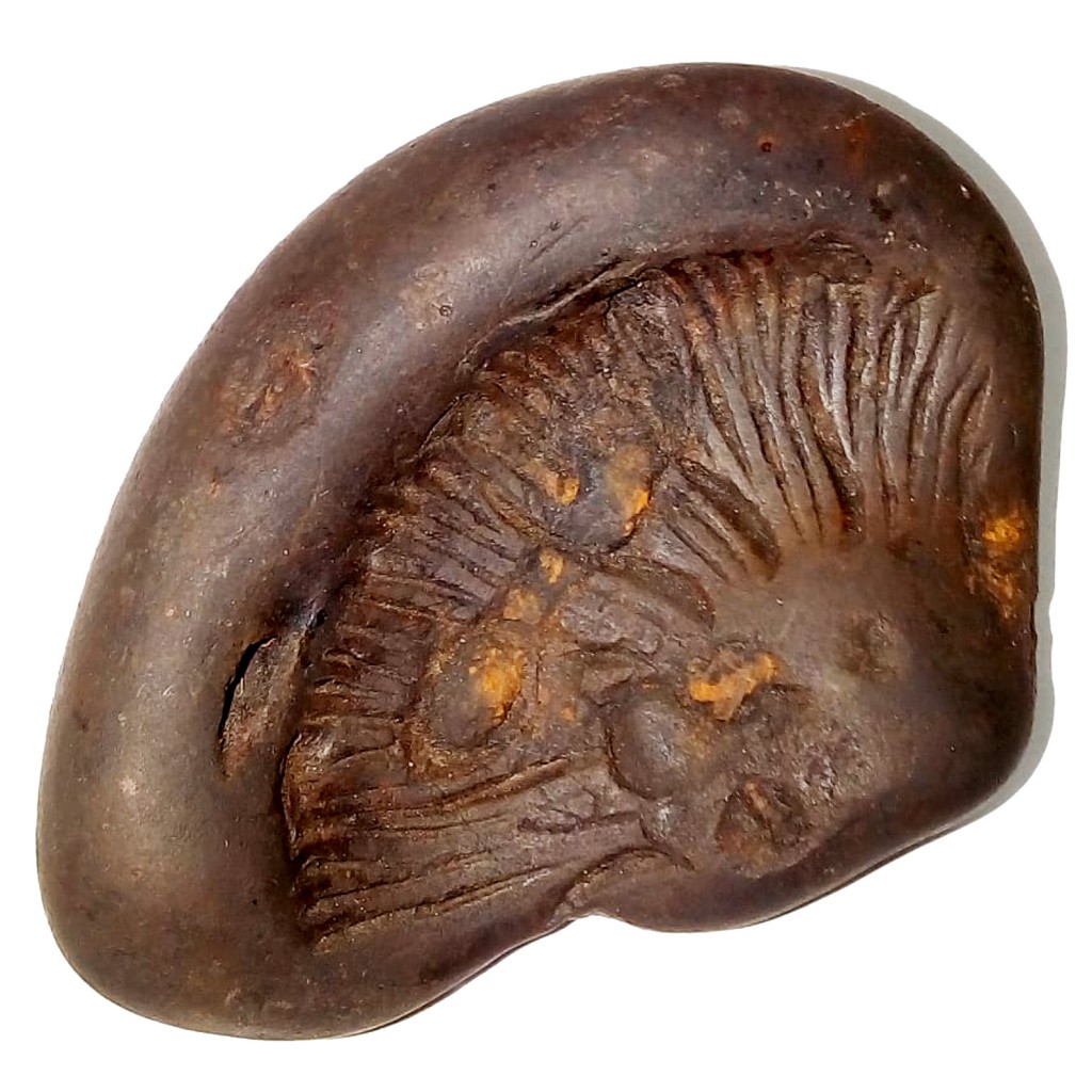 Rare Sacred Lakshmi Hayagreeva Hygriva Hygrieva Hayagriva Murthy ...