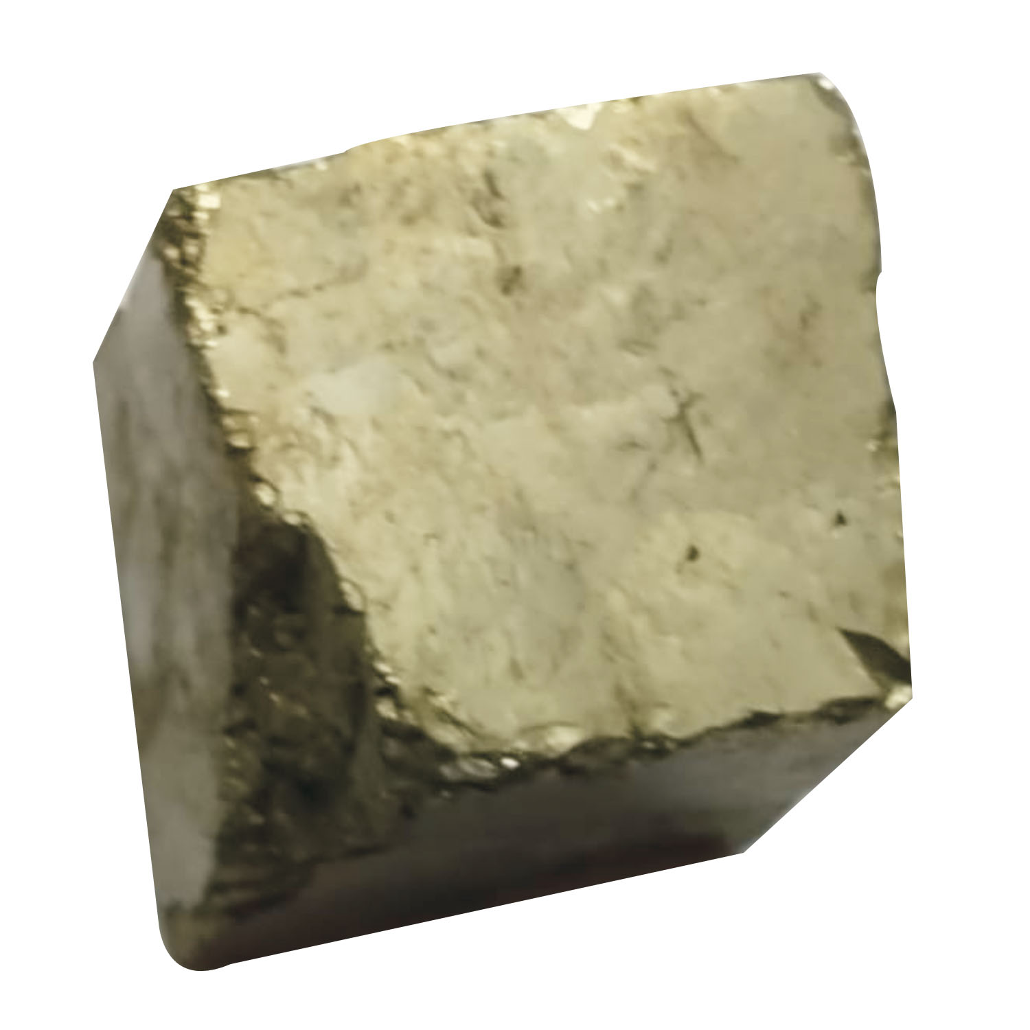 Swarnamukhi Shila Ambika Shila Devi Shila Natural From Swarnamukhi ...